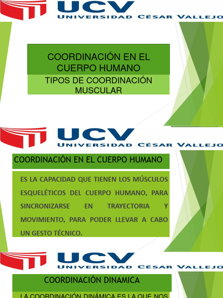 Alumno Pedro Reilly Ayra Yabar - Tipos de Cordinacion | PDF | Músculo ...
