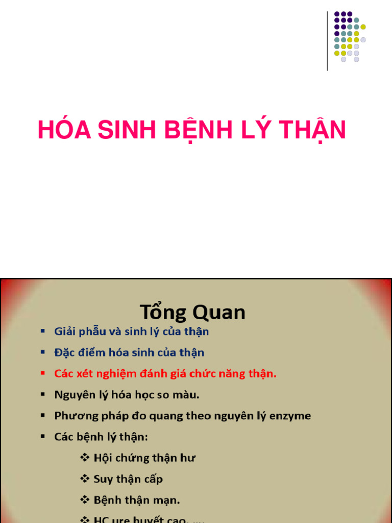 hsls thận | PDF