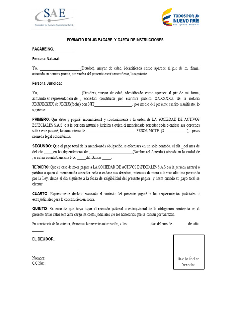 RDL 03 Pagare | PDF | Pagos | Justicia