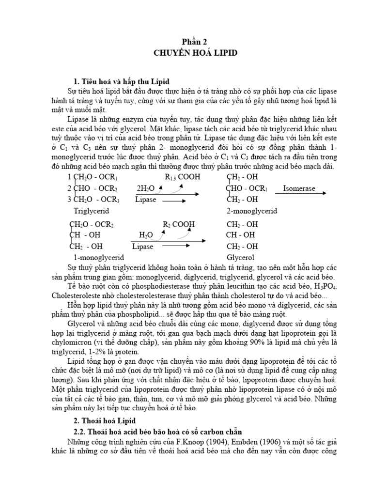File - 20220614 - 090153 - hoá Học Và Chuyển Hoá Lipid | PDF