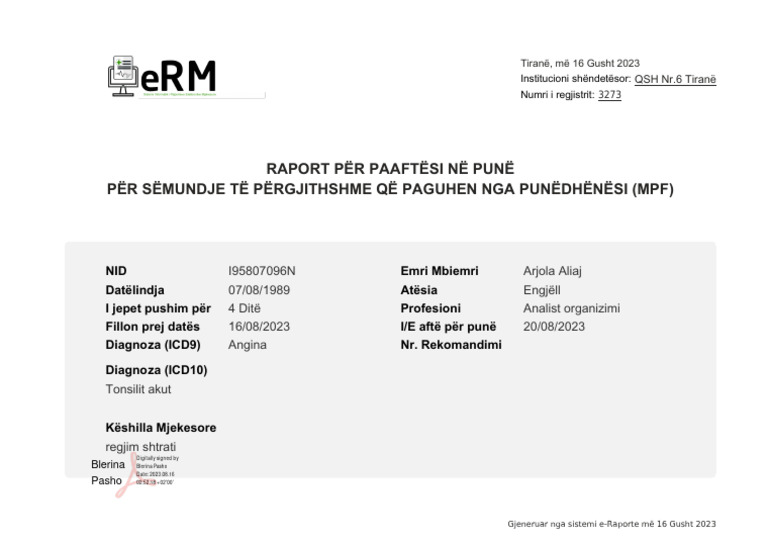 Raport | PDF