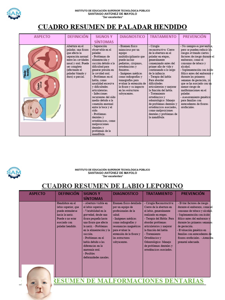 Cuadro Resumen de Paladar Hendido, Labio Leporino y Malformaciones ...