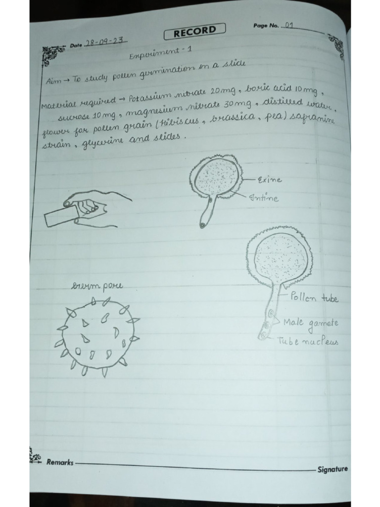 12th Exps. - Sec.'a' | PDF