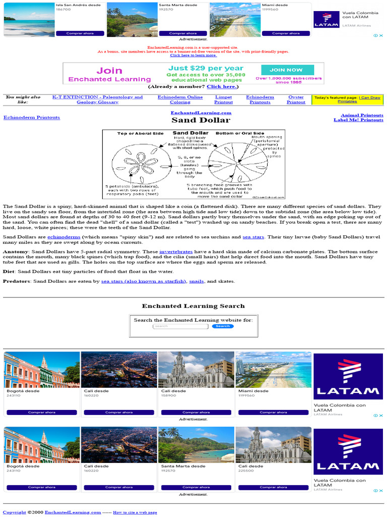 Sand Dollar Printout - Enchanted Learning Software | PDF