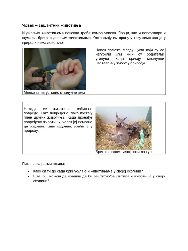 Covek Zastitnik Zivotinja | PDF