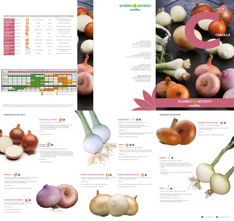 Cebollas Ramiro Arnedo | PDF | Plantas | Botánica