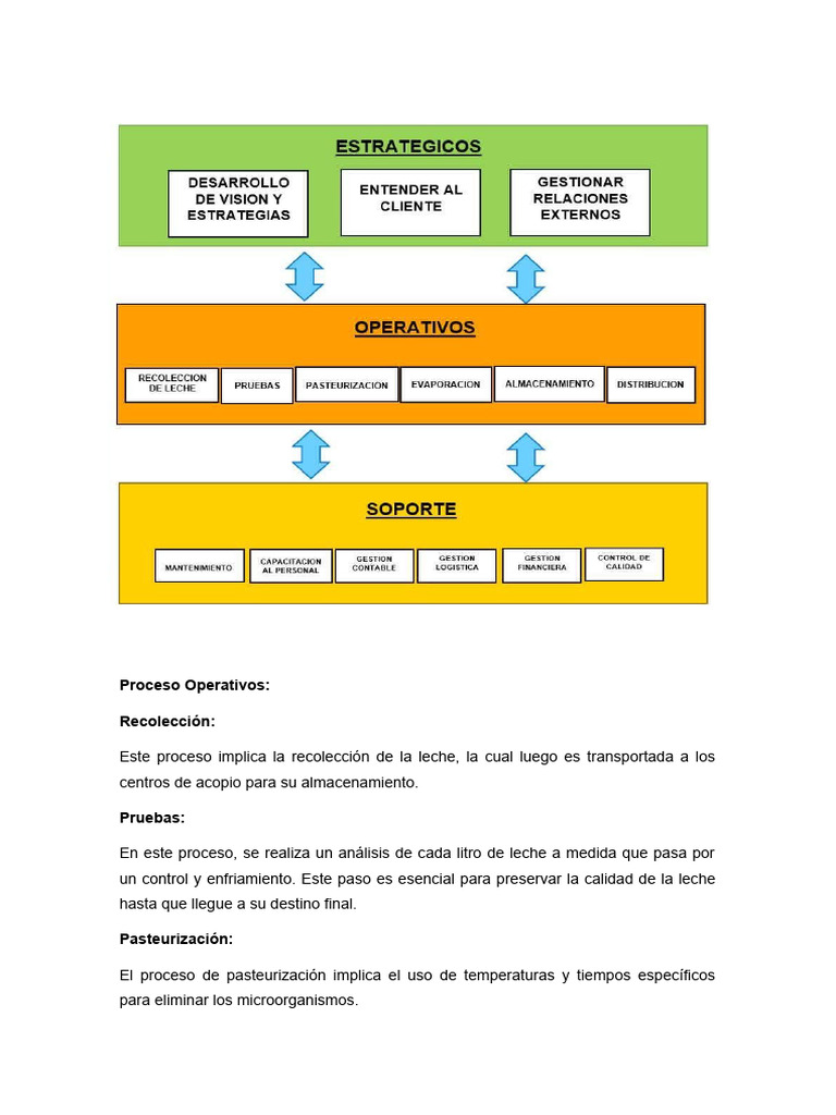 Proceso Operativos | PDF | Logística | Business