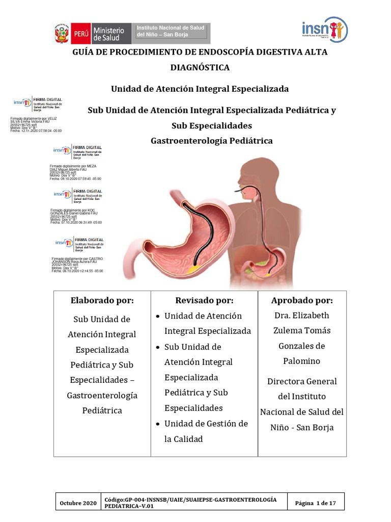 RD N° 000250-2020-DG-INSNSB GP 04 ENDOSCOPÍA DIGESTIVA ALTA INSN | PDF ...