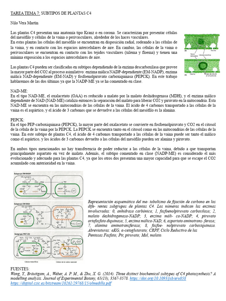 Tarea Tema 7: Nilo Vera | Descargar gratis PDF | Fisiología de las plantas | Ramas de la botánica