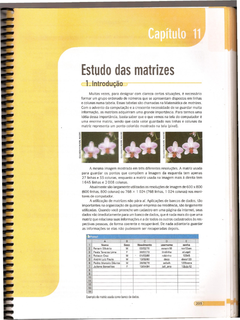Matrizes I | PDF