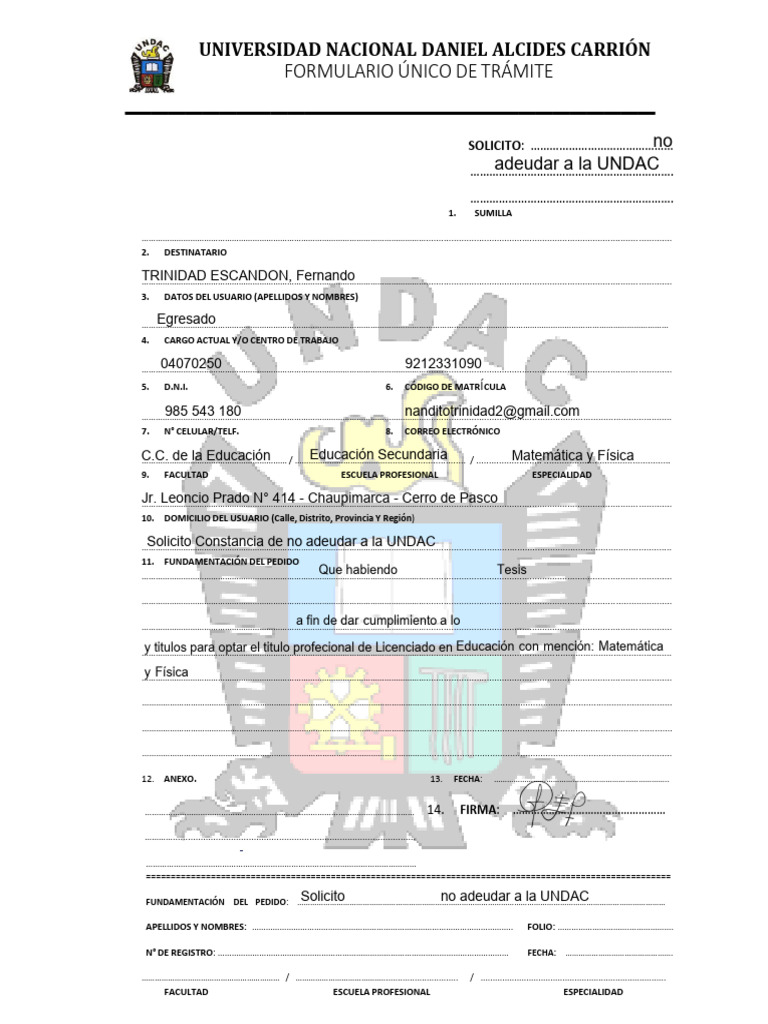 FUT - Constancia de No Adeudar - Fernando | PDF