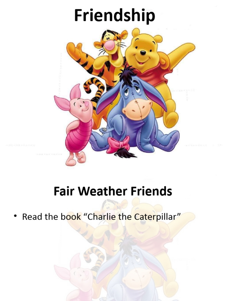 Importance of Friendship | PDF | Friendship | Experience