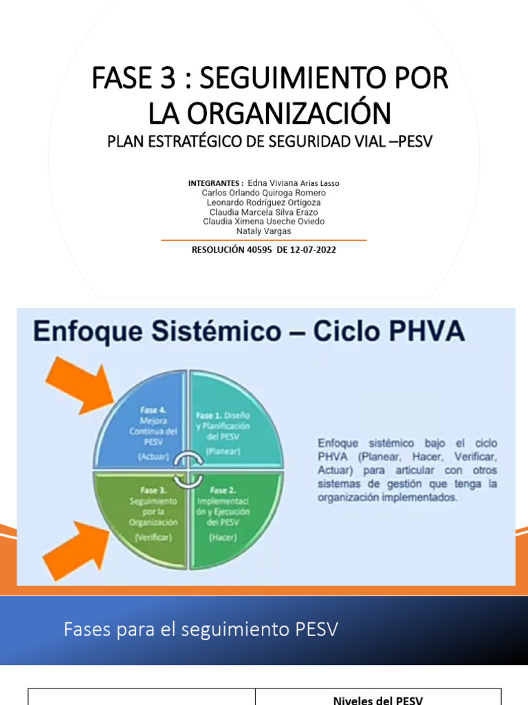 Pesv - Fase 3 Seguimiento Por Organización | PDF | Auditoría