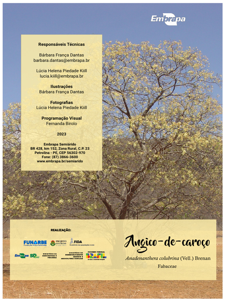 Angico de Caroco 2023 | PDF | Flores | Plantas