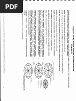 Anuhazi Language Lexicon Guide | PDF | Religion & Spirituality