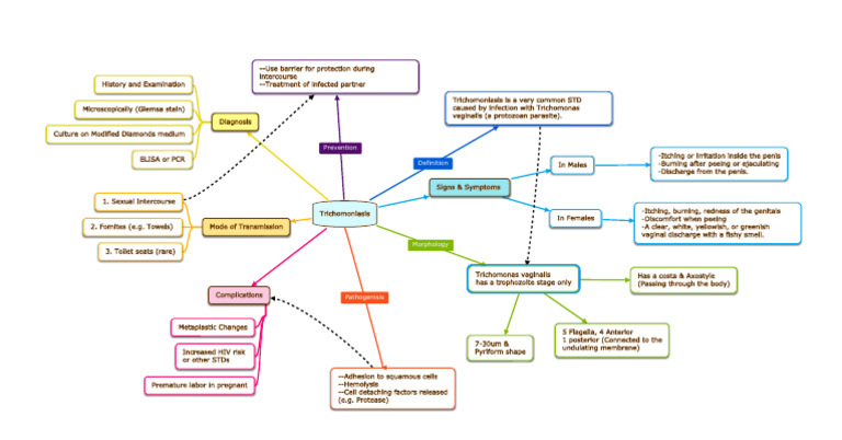 Trichomoniasis: Key Facts & Prevention | PDF | Sexual Health | Medical ...