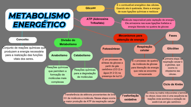 Metabolismo Energetico - Mapa Mental | PDF | Respiração celular ...