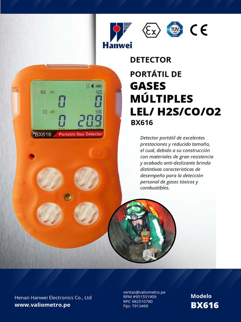Detector De Gases Multiples Bx616 Pdf