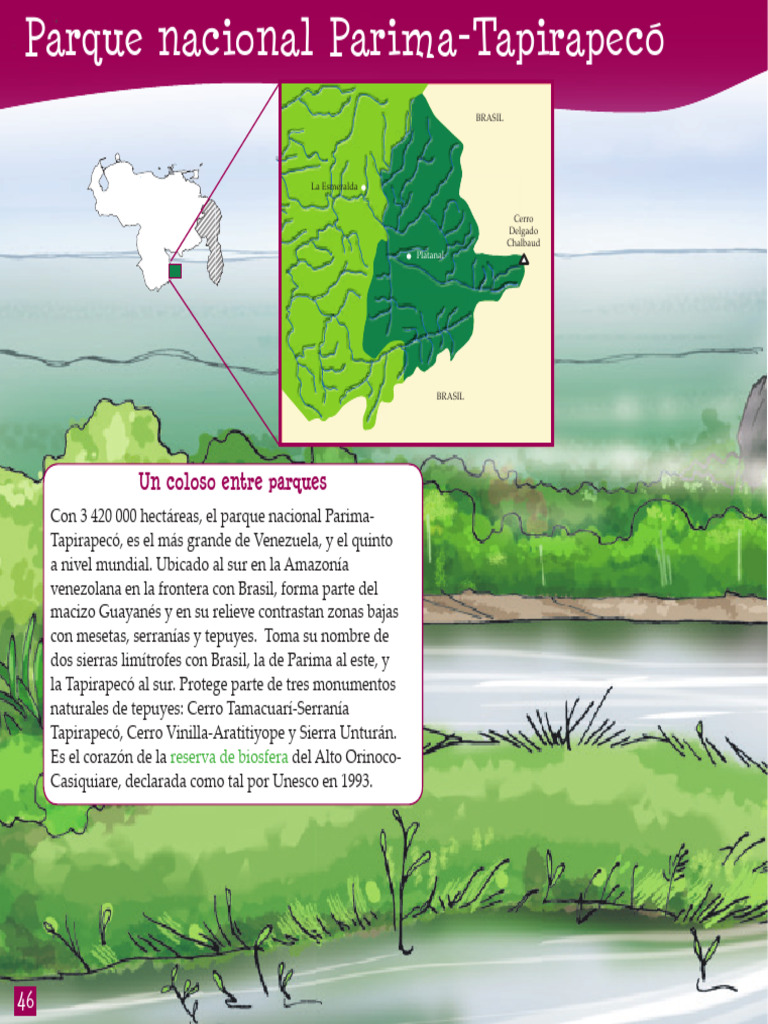 Parques Nacionales 10 Parima-Tapirapeco | PDF | Venezuela | Puma