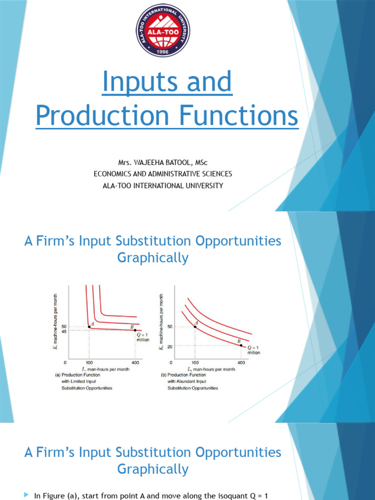 Inputs and Production Functions-Lesson 2 | PDF | Production Function ...