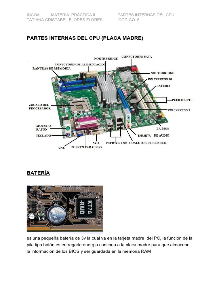 Partes Internas Del Cpu (Tarjeta Madre) | PDF | Hardware de la ... Partes Internas Del Cpu (Tarjeta Madre) | PDF | Hardware de la ...