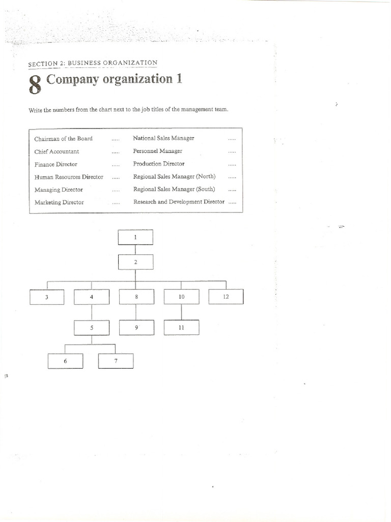 Exercise Company Structure | PDF