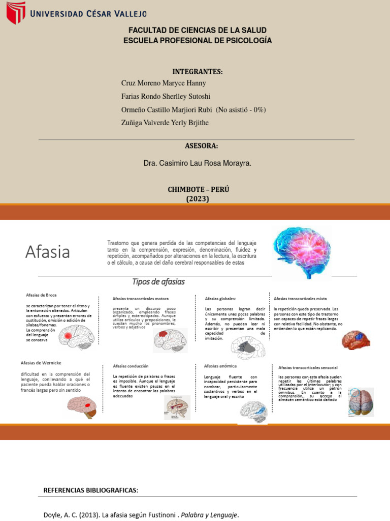 Tipos de Afasia Sesion 12 | PDF | Afasia | Lingüística