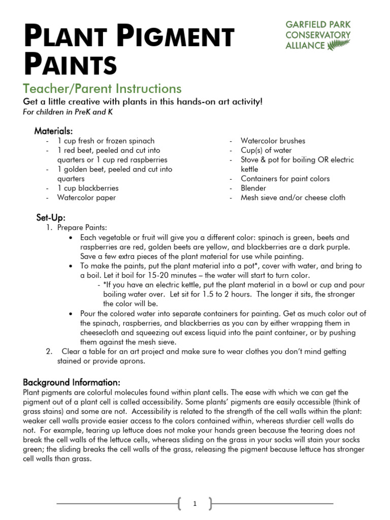 Plant Pigment Paint Activity | PDF | Beetroot | Paint