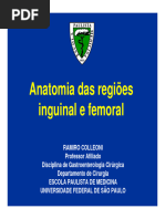 Anatomia da Região Inguinal e Canal Inguinal | PDF | Testículo | Anatomia
