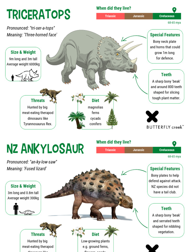 Dinosaur Fact Files | PDF | Dinosaurs | Tyrannosaurus