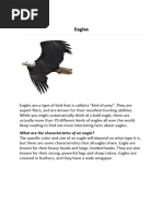 Eagle | PDF