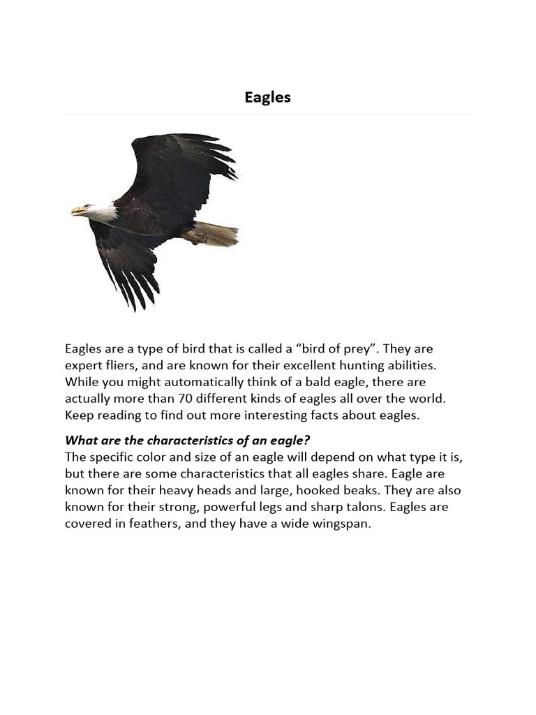 Eagles | PDF | Eagle | Bald Eagle