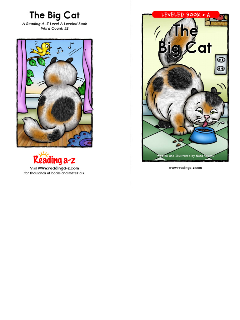 Big Cat Level A Reading Book | PDF