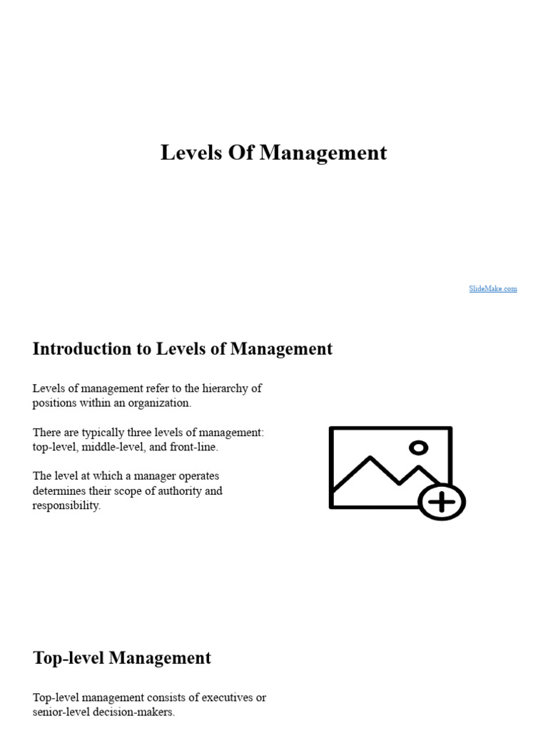 Understanding Levels of Management | PDF | Business | Leadership