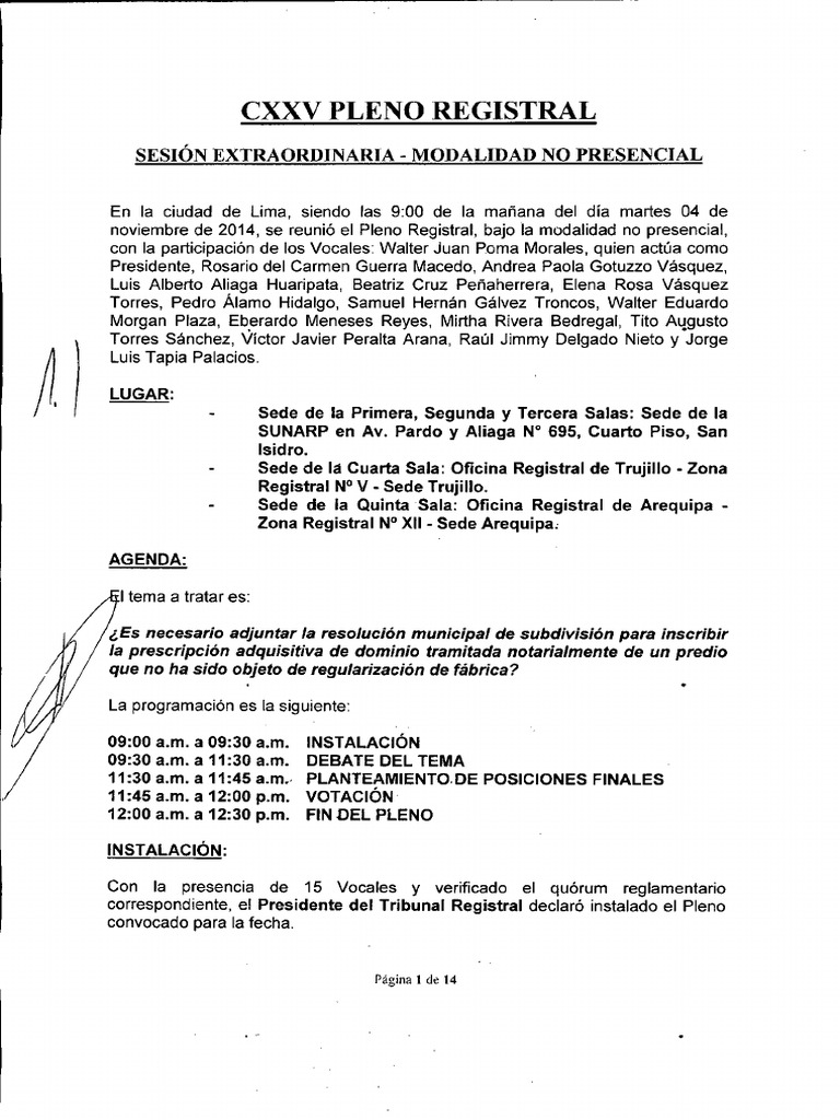 CXXV Pleno TR Sunarp | PDF