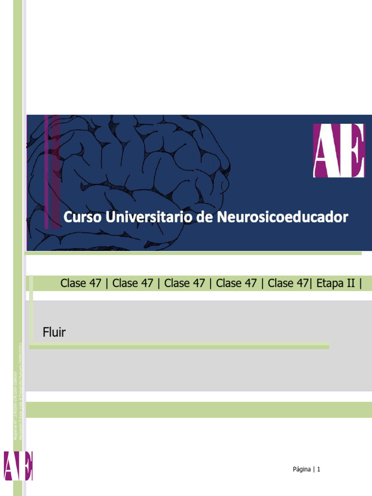 Apunte A - Fluir | PDF | Estrés (biología) | Atención