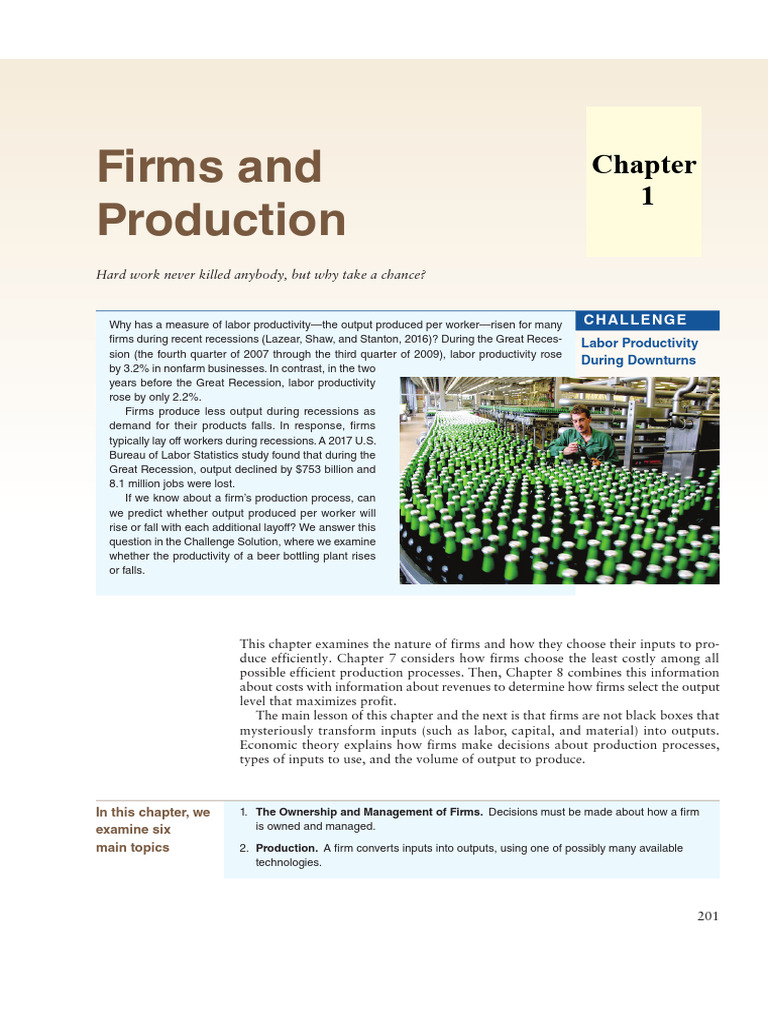 Chapter 1 Production & Firm | PDF | Production Function | Labour Economics