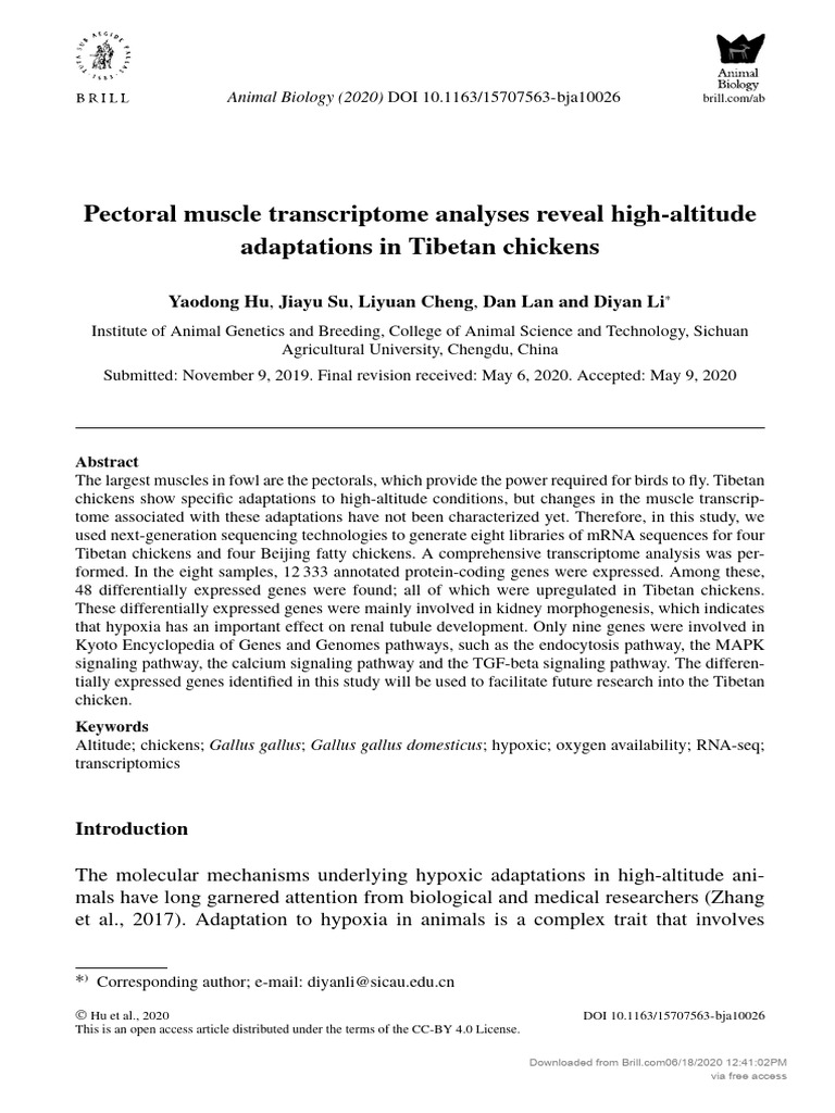 Pectoral Muscle Transcriptome Analyses Reveal High Pdf Major