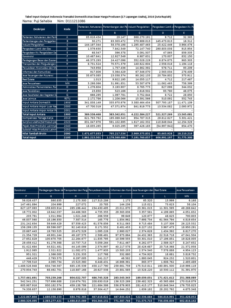 Puji Sahabia D111211086 Tabel Input-Outpu | PDF