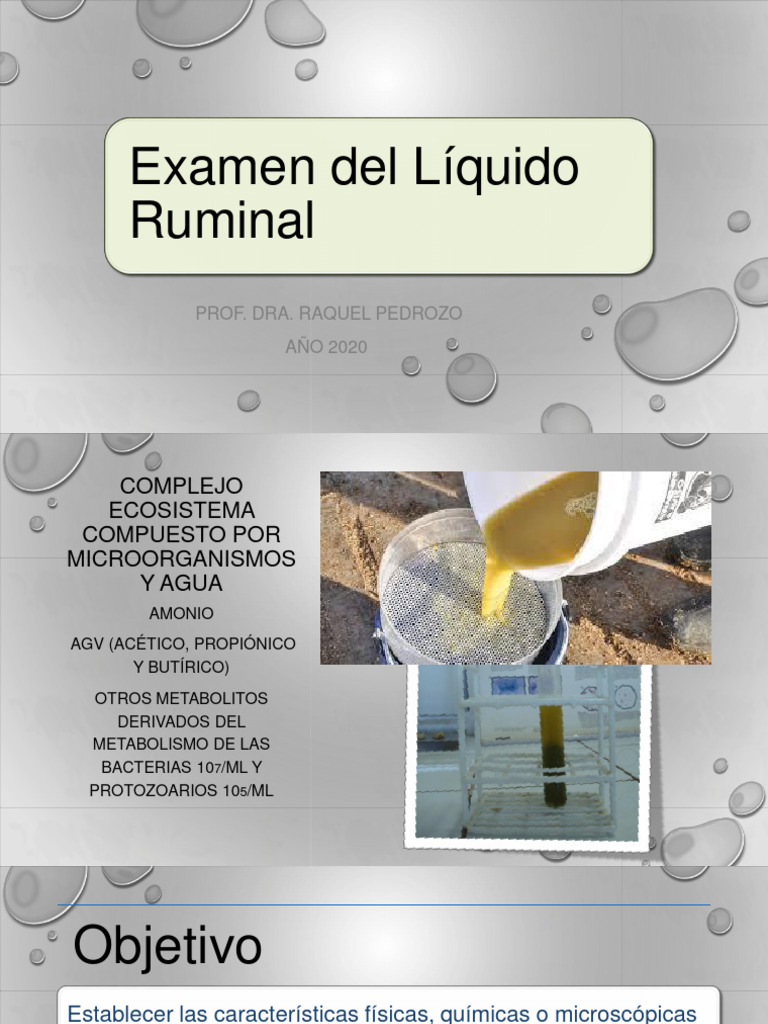 Liquido Ruminal 2020 | Descargar gratis PDF | Química