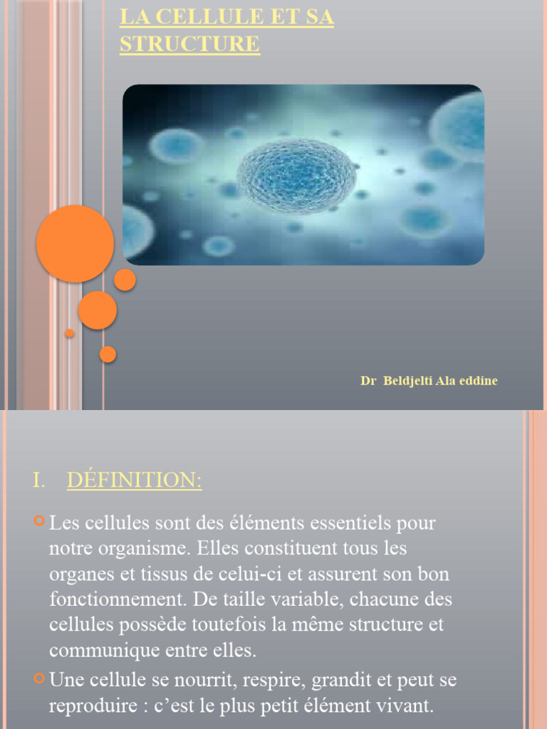 La Cellule Et Sa Structure A | PDF | Cellule (Biologie) | Cytosol