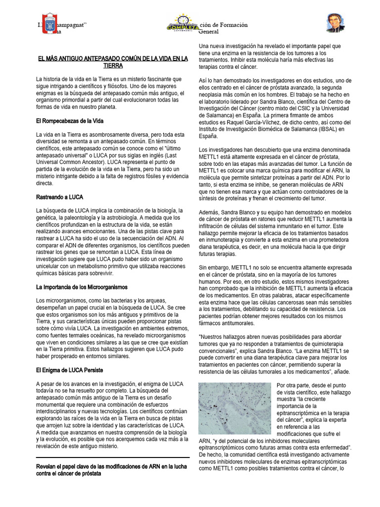 Formato Sesión de Aprendizaje 2023 (Sesion 64) | PDF | Cáncer | Adn