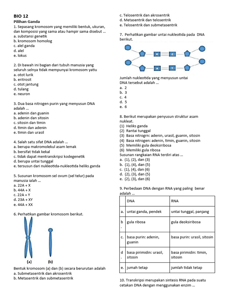 Soal dan Jawaban Genetika BIO 12 | PDF
