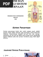 Struktur dan Fungsi Anatomi Mulut | PDF