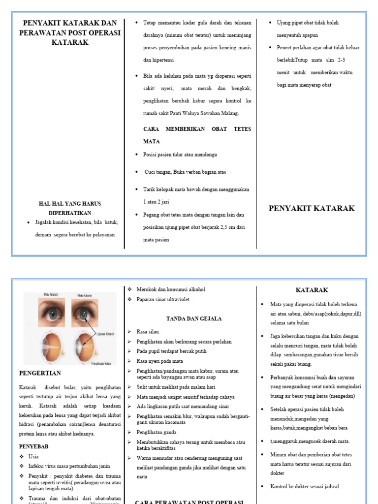 Leaflet Katarak - Ni Komang | PDF