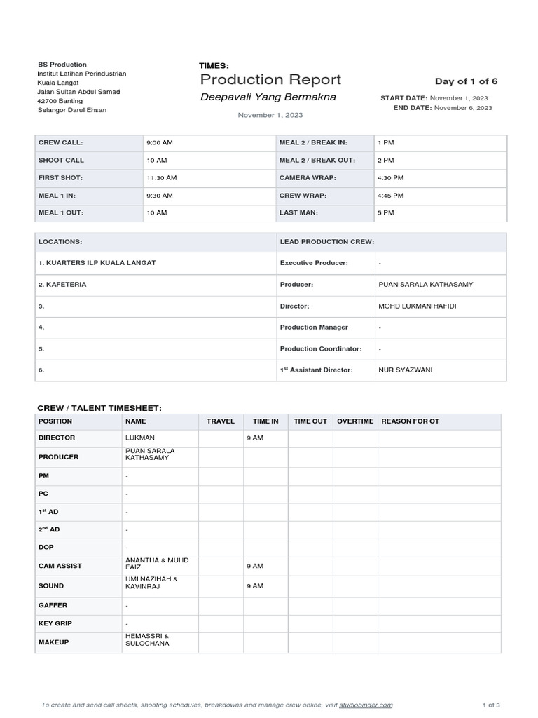Daily Production Report | PDF
