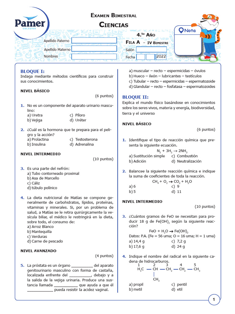 2022 Ivbim Eb 4°año Fila A Ciencias | PDF | Química