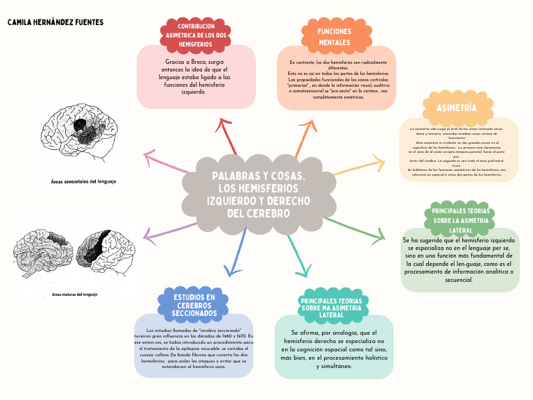 Mapa Conceptual Capítulo 8 | PDF | Hemisferio cerebral | Cerebro