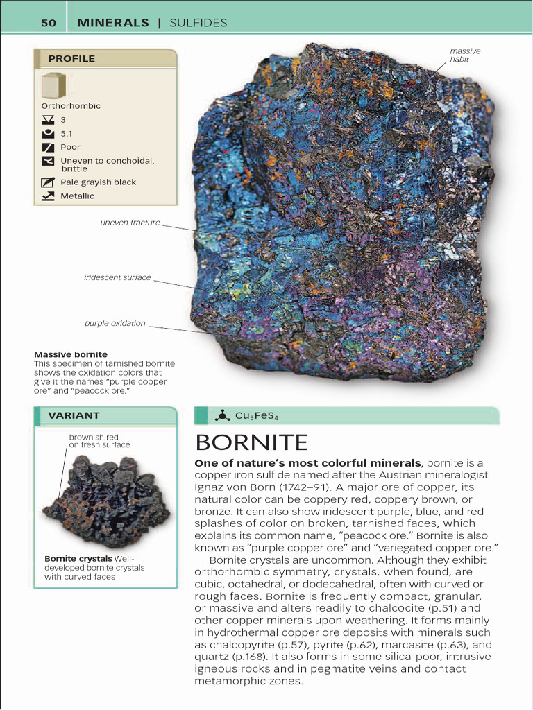Nature Guide Rocks and Minerals-2 - 51-100 | PDF | Minerals | Mineralogy