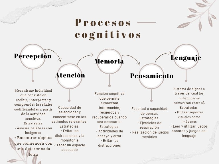 Procesos Cognitivos | PDF